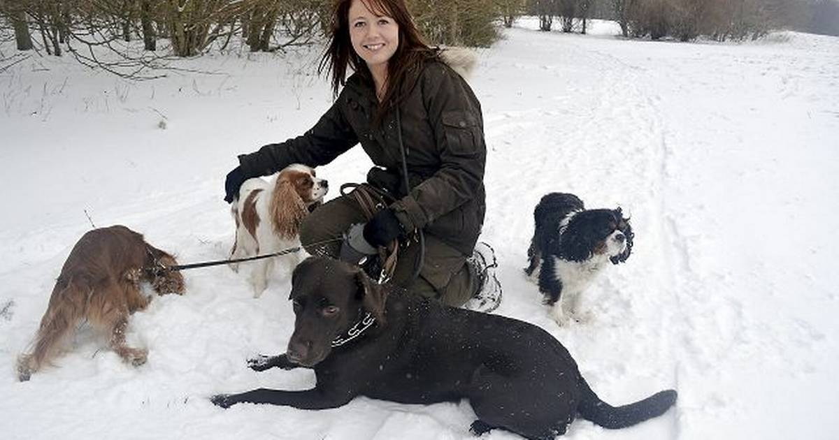 Studerende starter hundelufte-service - Din Avis