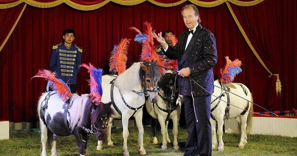Cirkus Mascot kommer til byen - Din Avis