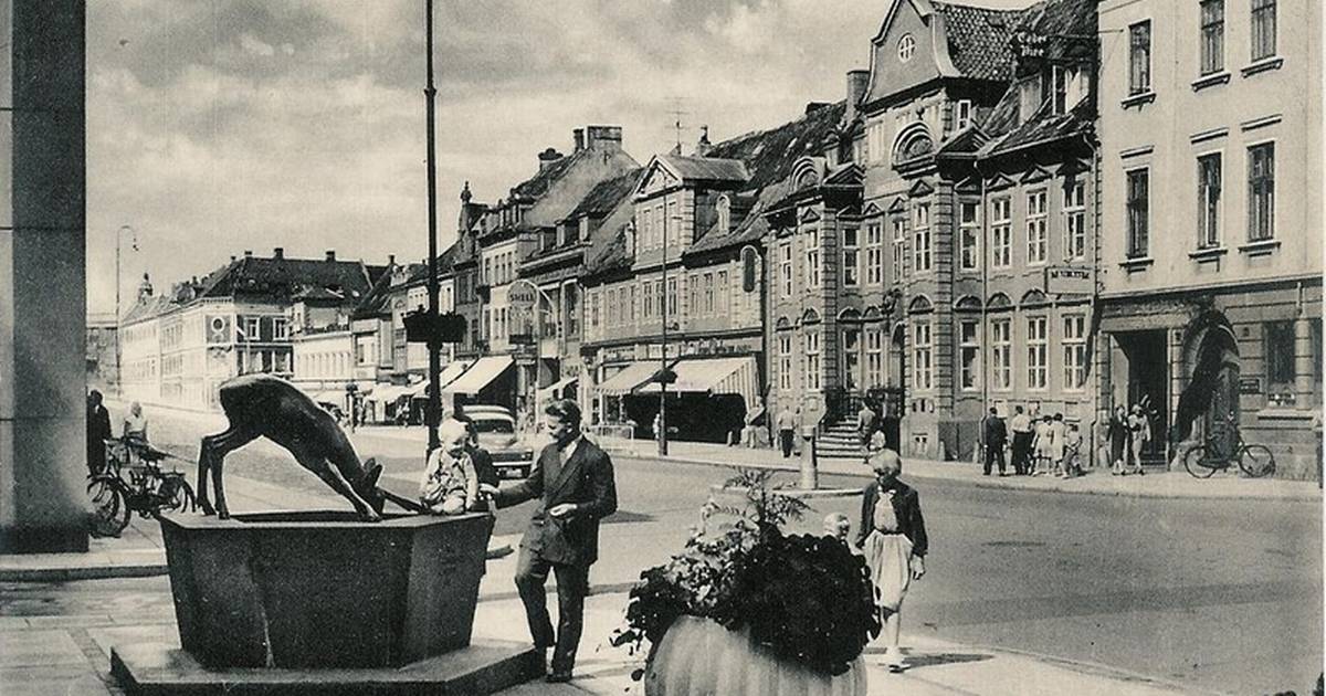 Kalven på Søndergade i Horsens - Din Avis