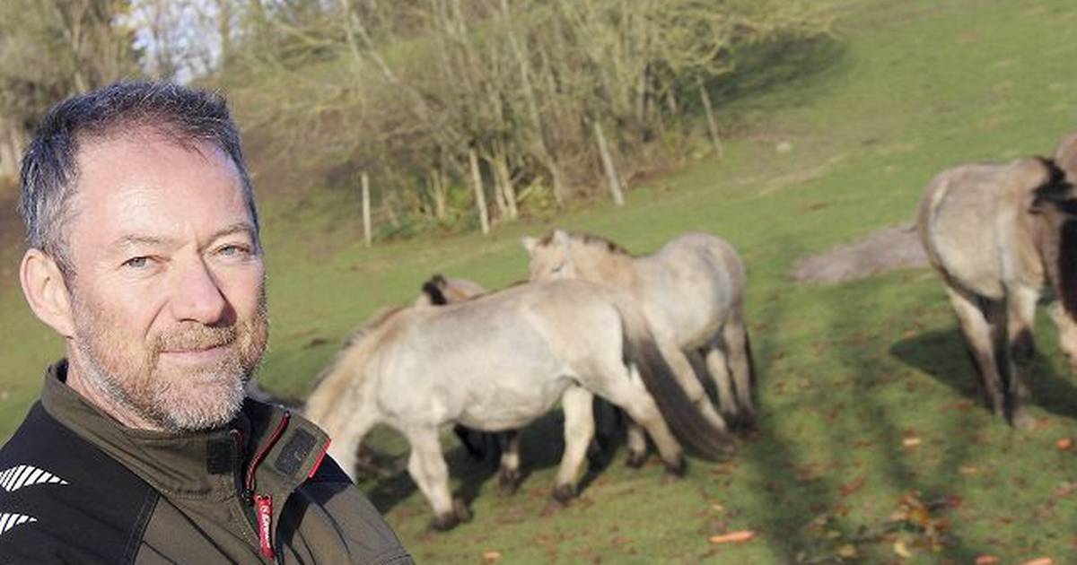 Hvordan er nytåraften i zoo? - Din Avis