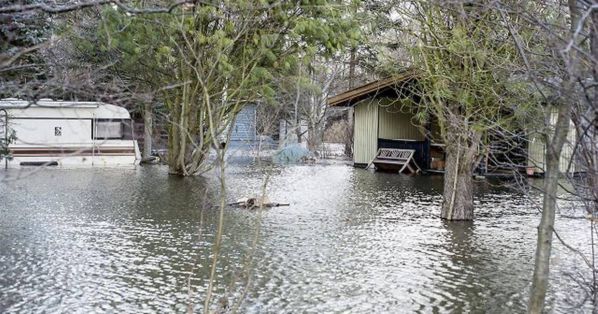 Bodil kostede 318 millioner - Din Avis