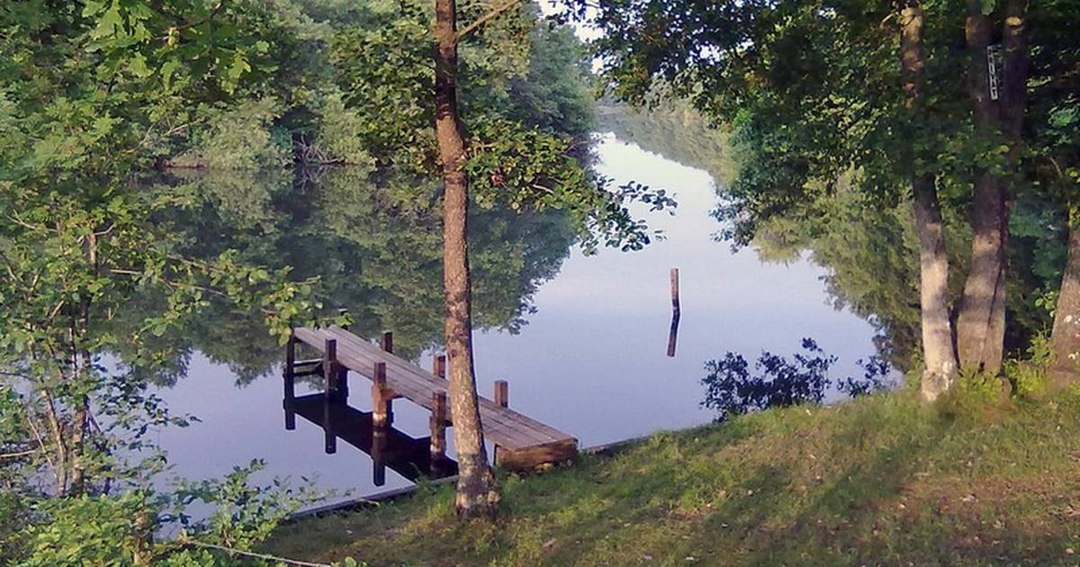 På vandretur med DVL ved Gl. Ry - Din Avis