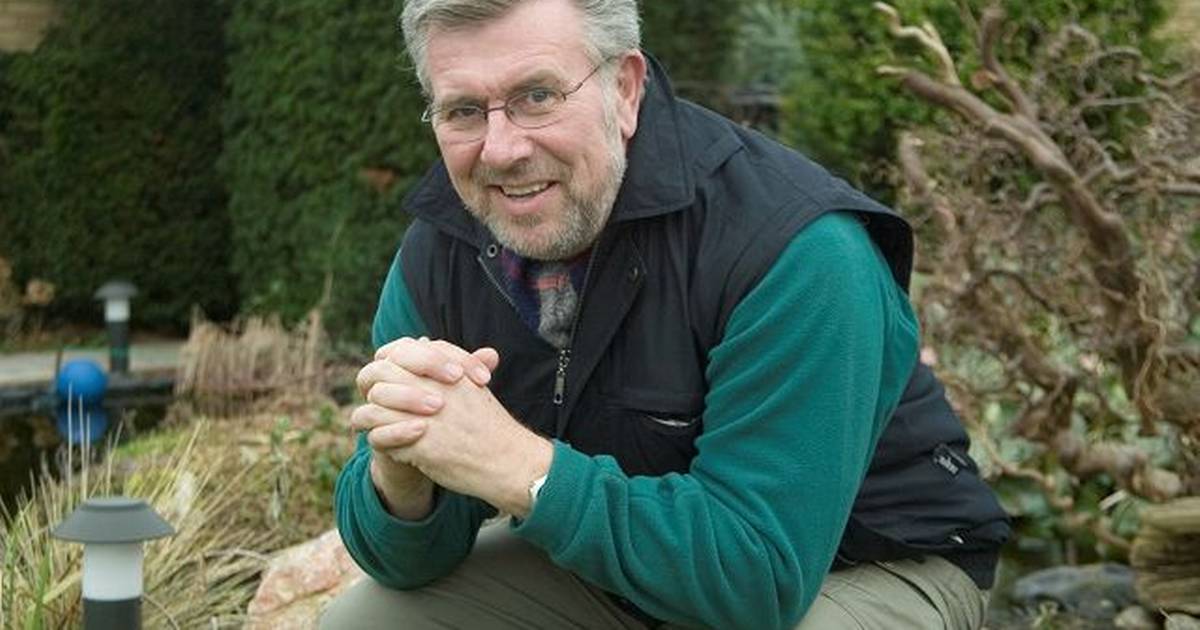 Han nødlandede sit SAS-fly på en snedækket eng i Sverige - Din Avis