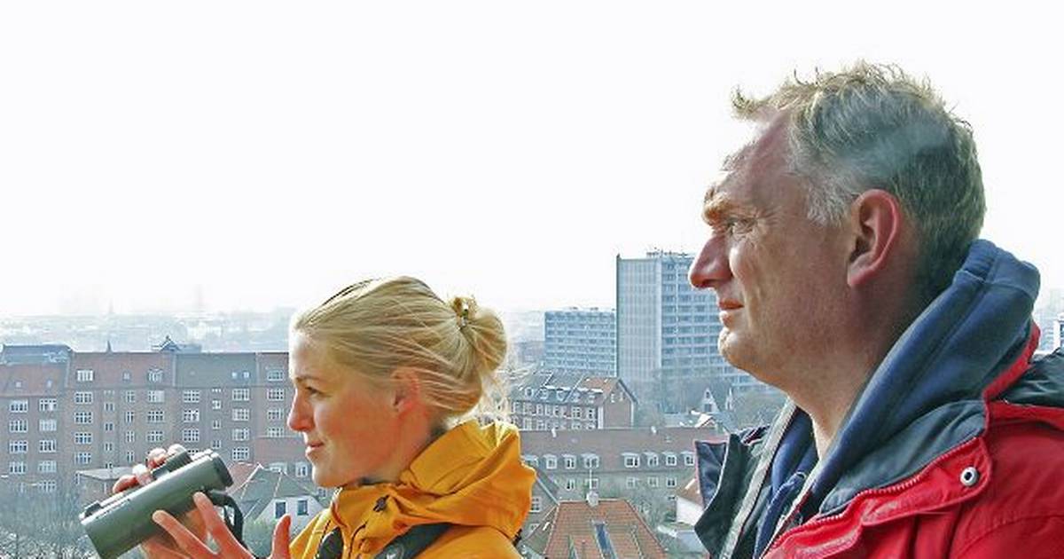 Lad naturen vokse vildt i byen - Din Avis