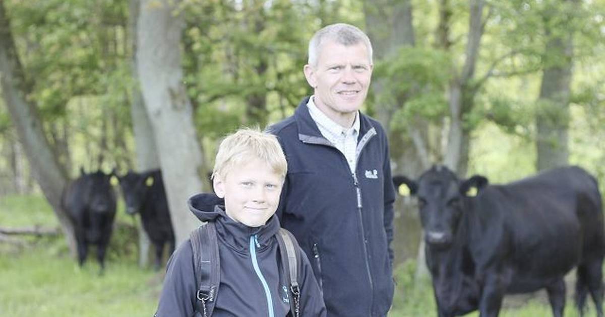 Når bøffen skal være i øjenhøjde - Din Avis