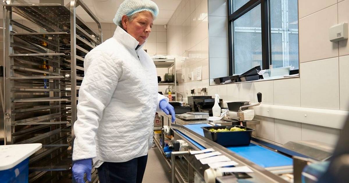 Djurs Mad I/S har en samlet medarbejderstab på 22 - Din Avis