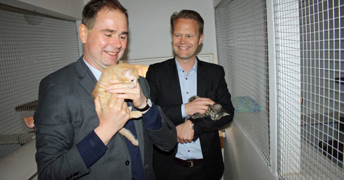 Forsvarsministeren tager kattenes parti - Din Avis