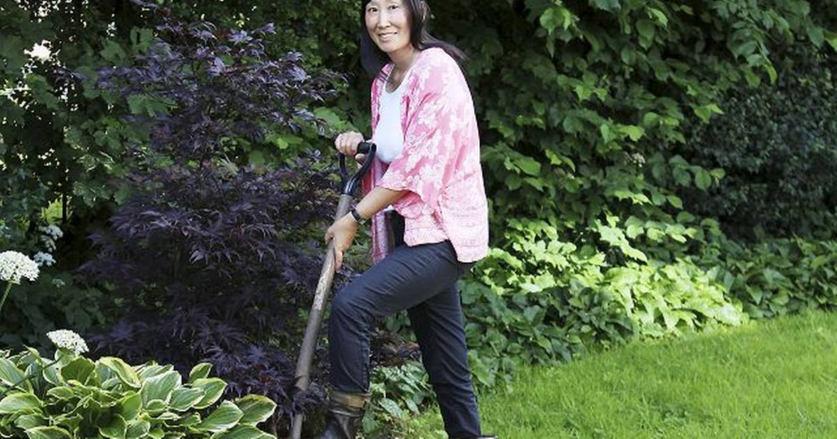 Flere og flere deler ud af deres frø og planter - Din Avis