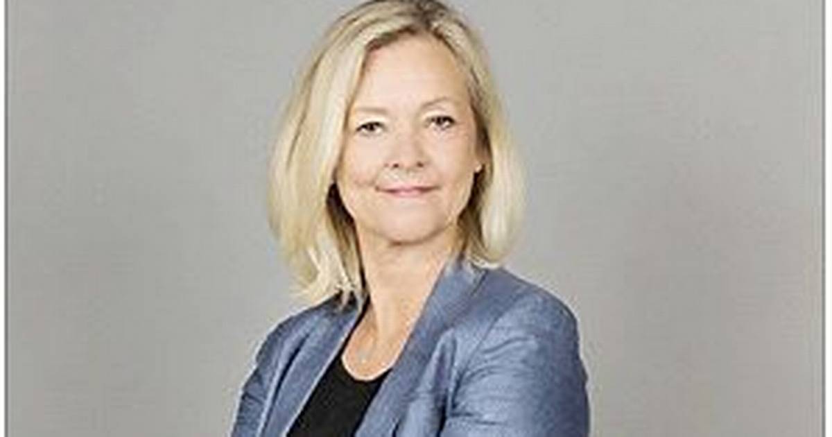 Birte Andersen på vej som folketingskandidat - Din Avis