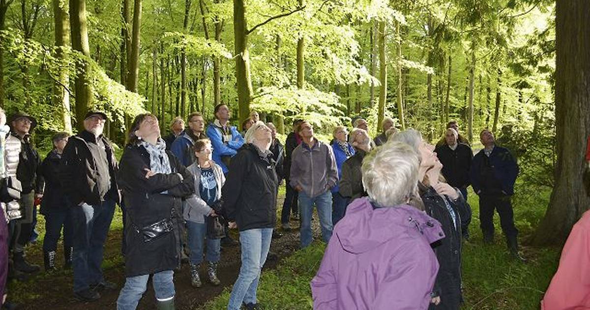 Ideer søges til mere friluftsliv i Favrskov - Din Avis