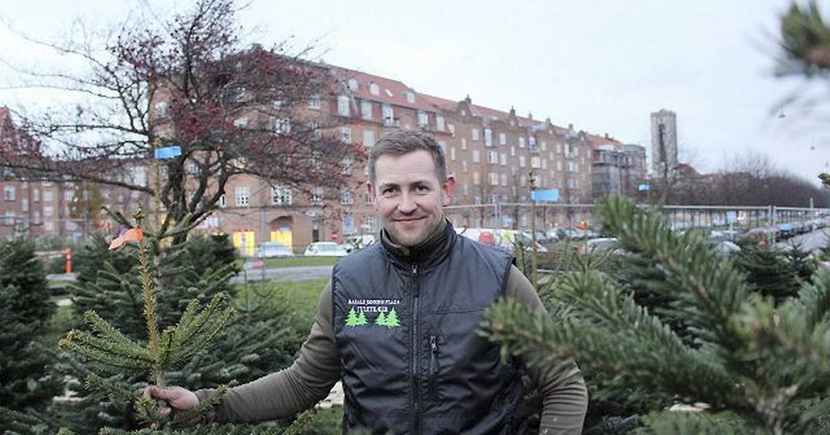Jubilæum og øko-juletræer på Harald Jensens Plads - Din Avis