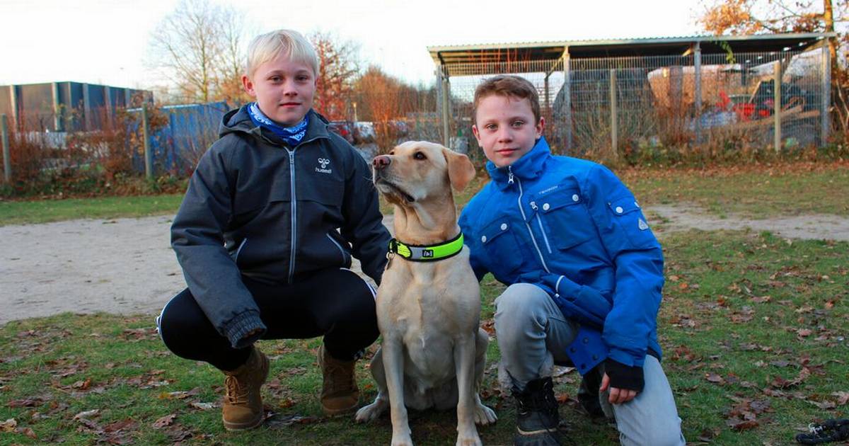 Når Malik er her er det en god dag... - Din Avis