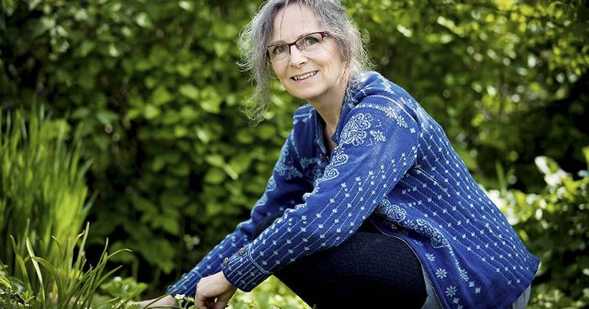 Stilheden er en mangelvare - Din Avis