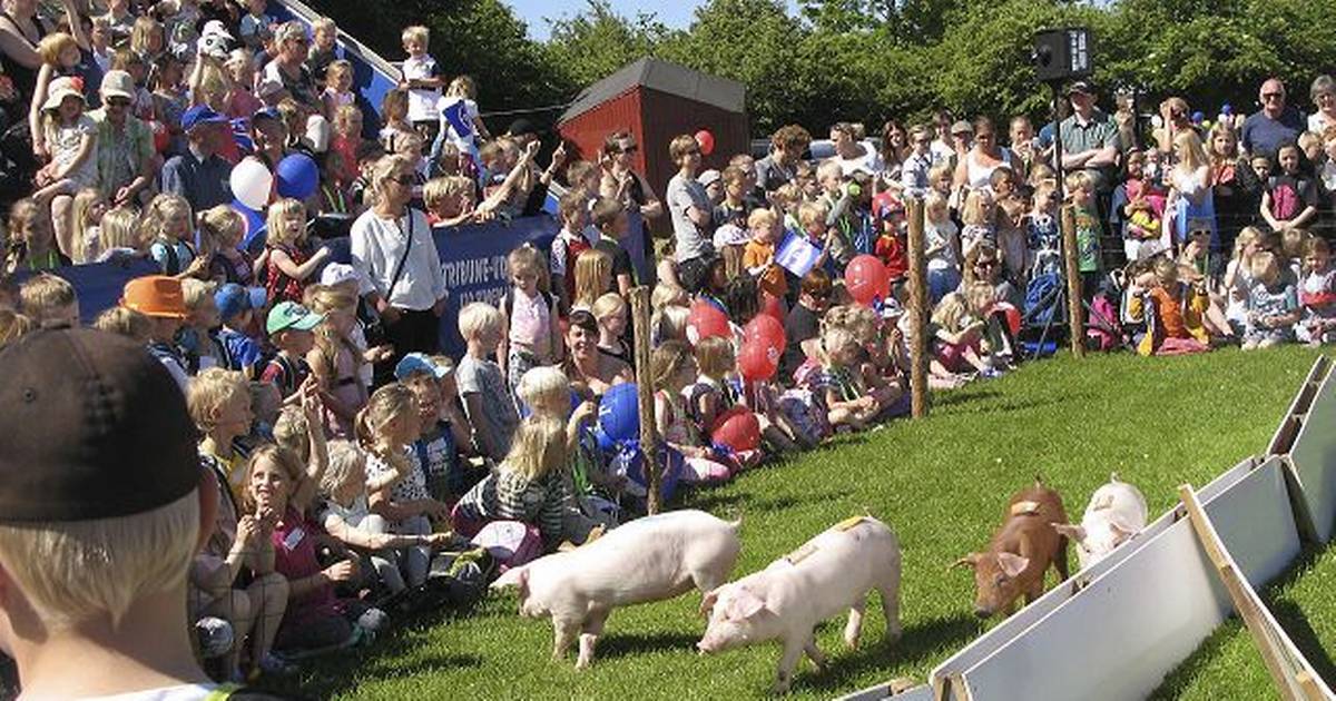 Kom tæt på danske dyr - Din Avis
