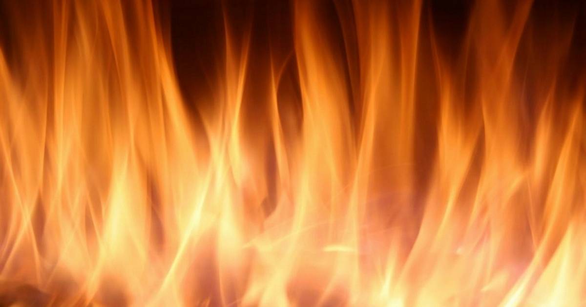 Lotek Safety indgår banebrydende samarbejde - Din Avis