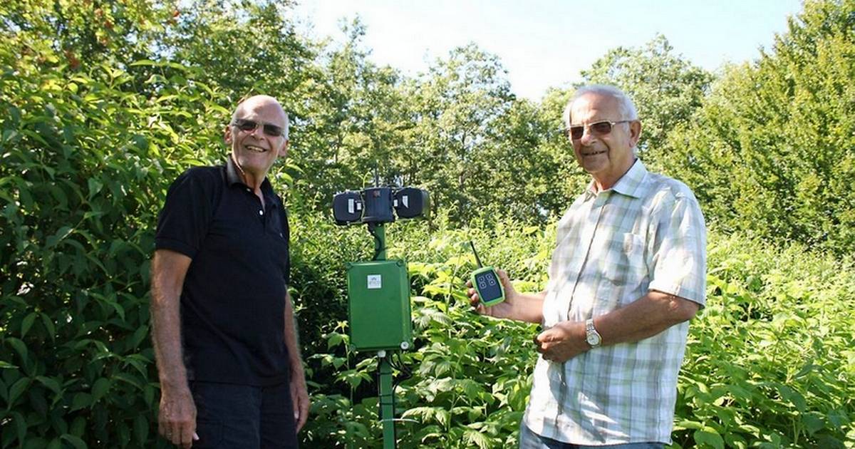 Beboere til kamp mod støjende råger i Bækdalen - Din Avis