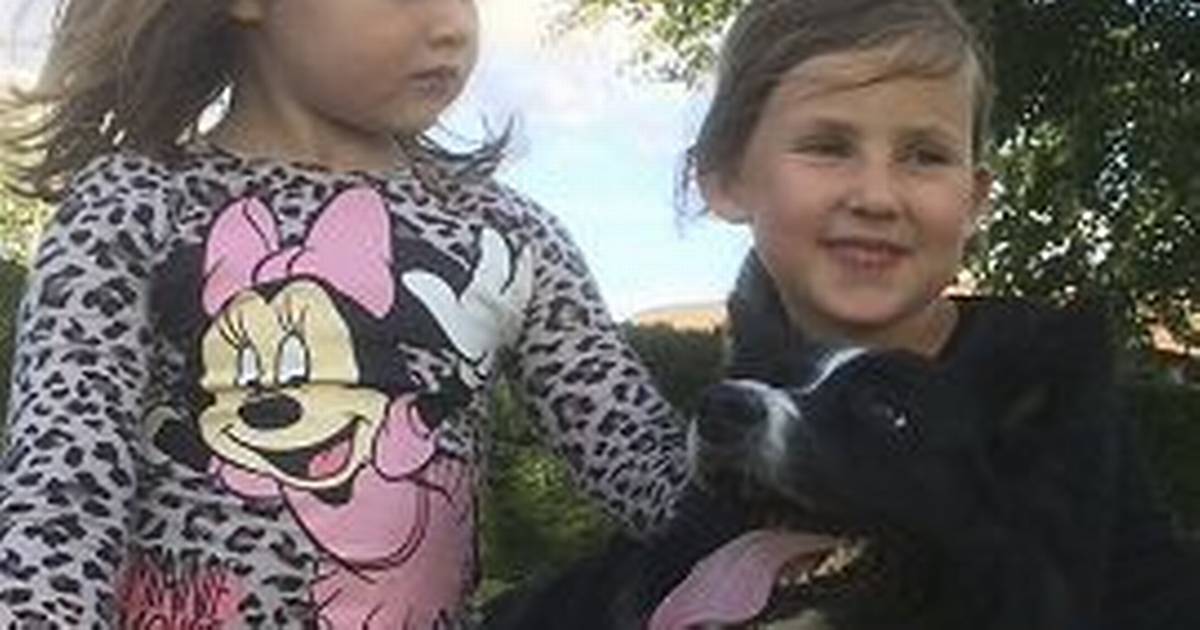 “Neela er vores helt - hver dag” - Din Avis