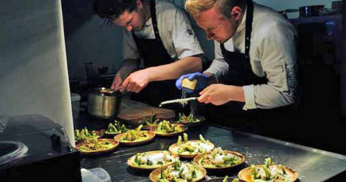 Kendte kokke koger på Moment - Din Avis