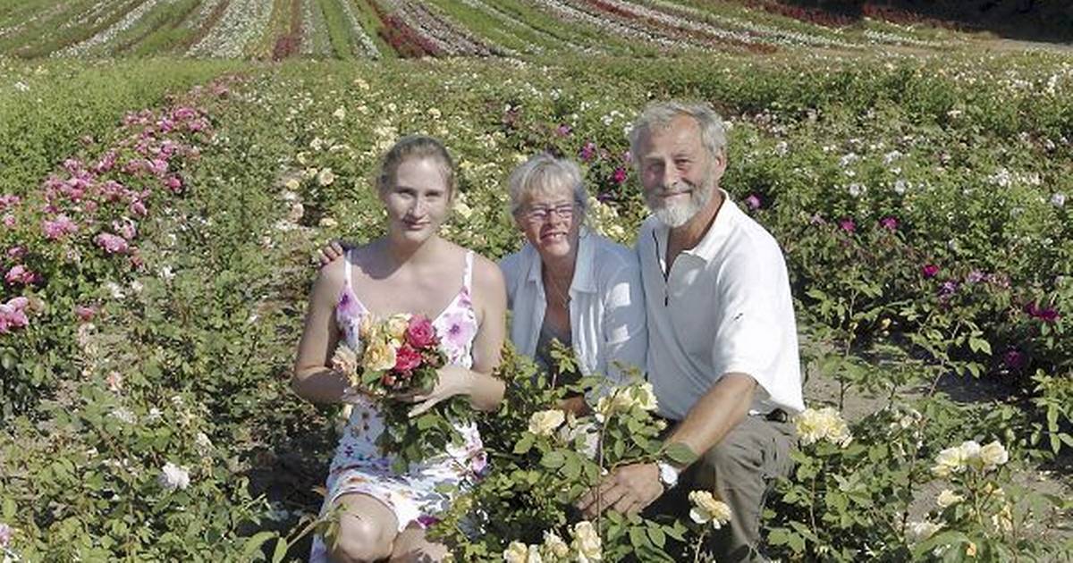 Rosens hemmelighed - Din Avis