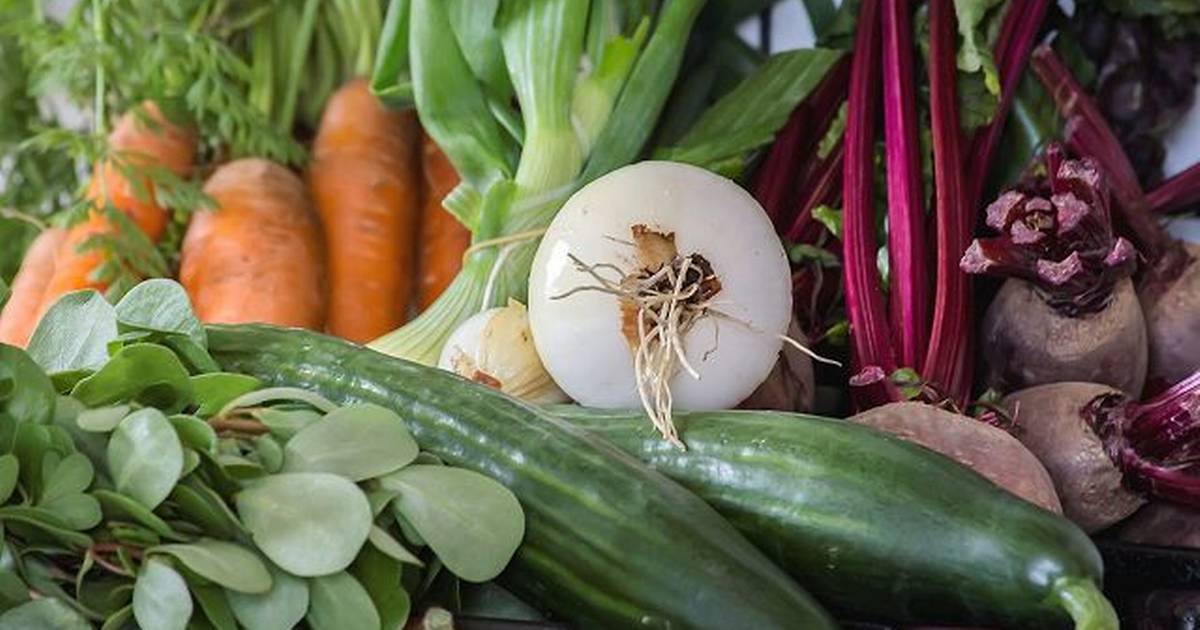 Nu bliver de ældres mad mere økologisk