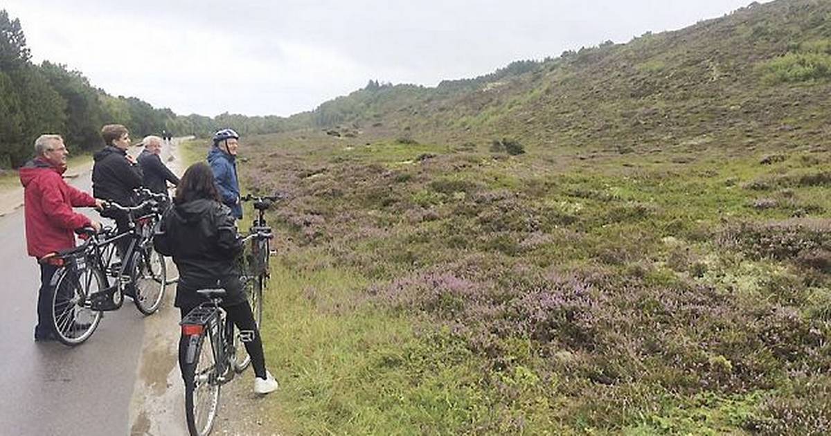Der er brug for lægehuset på Anholt - Din Avis