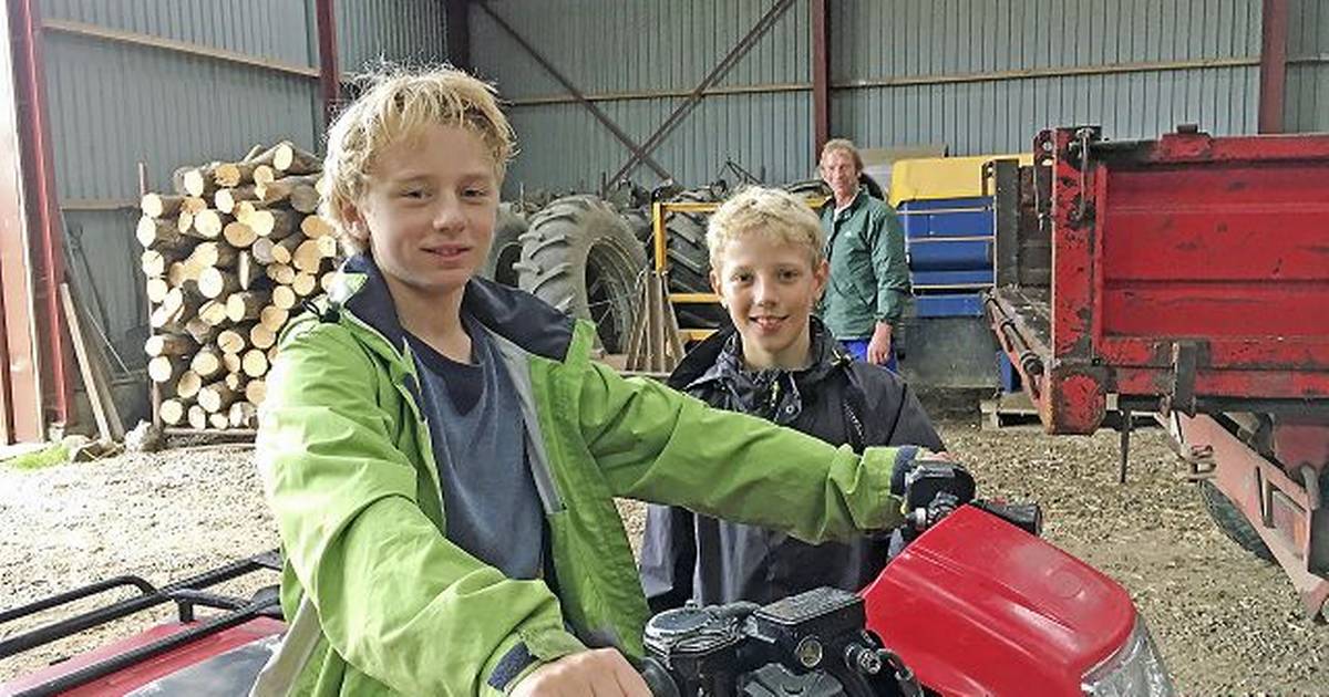 “Det er vildt at en ko er så stor” - Din Avis