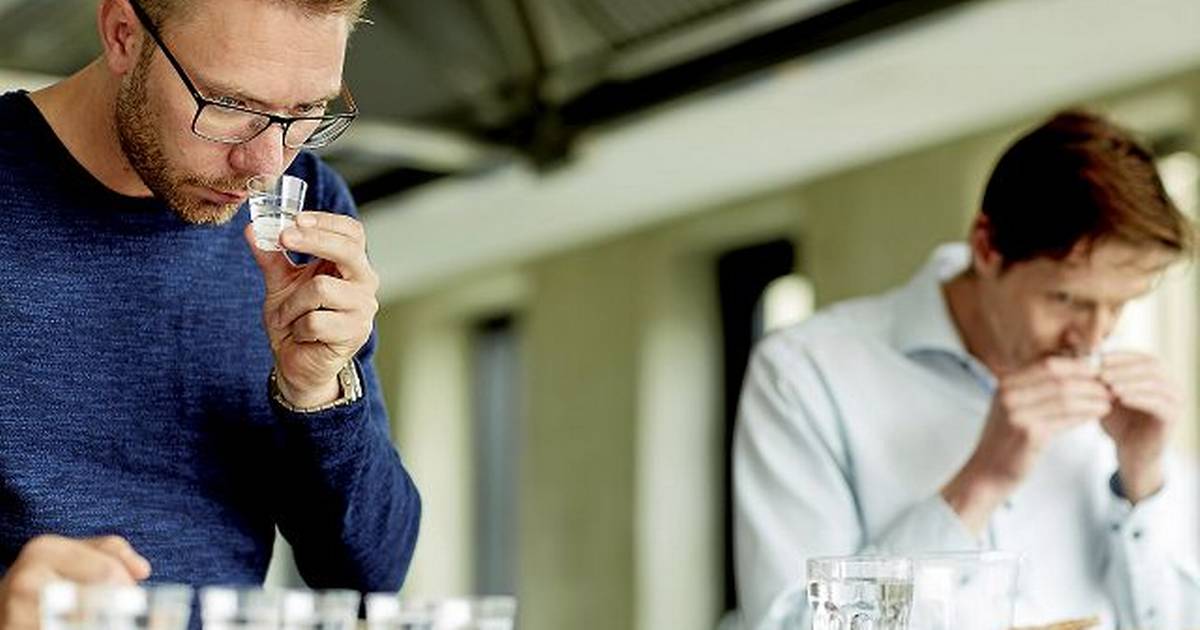 Taber-gin drukner i alkoholsmag - Din Avis