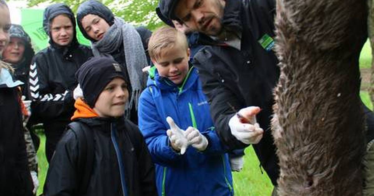 Jagt og skovbrug på skoleskemaet - Din Avis